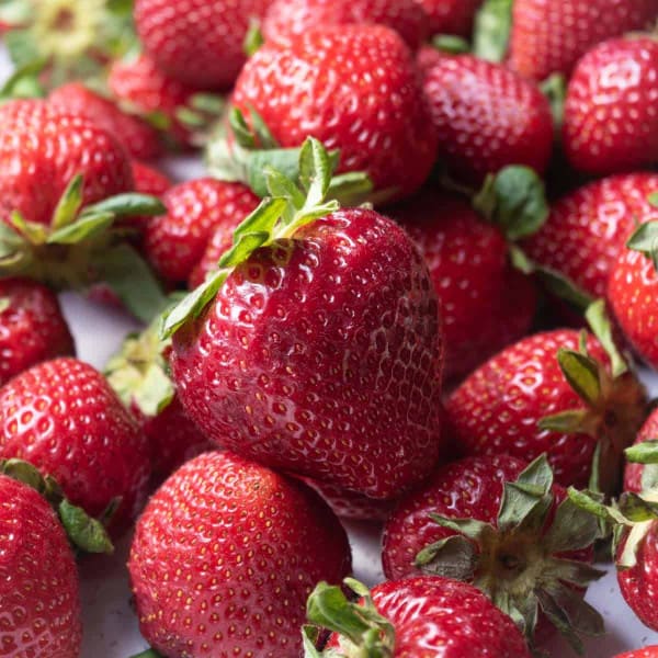 Strawberry Puree + How To Make, Use, and Freeze It - Mandi of the Mountains