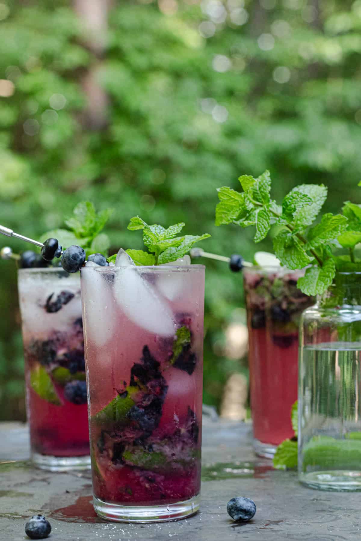 Blueberry Mojito Mocktail - Mandi of the Mountains