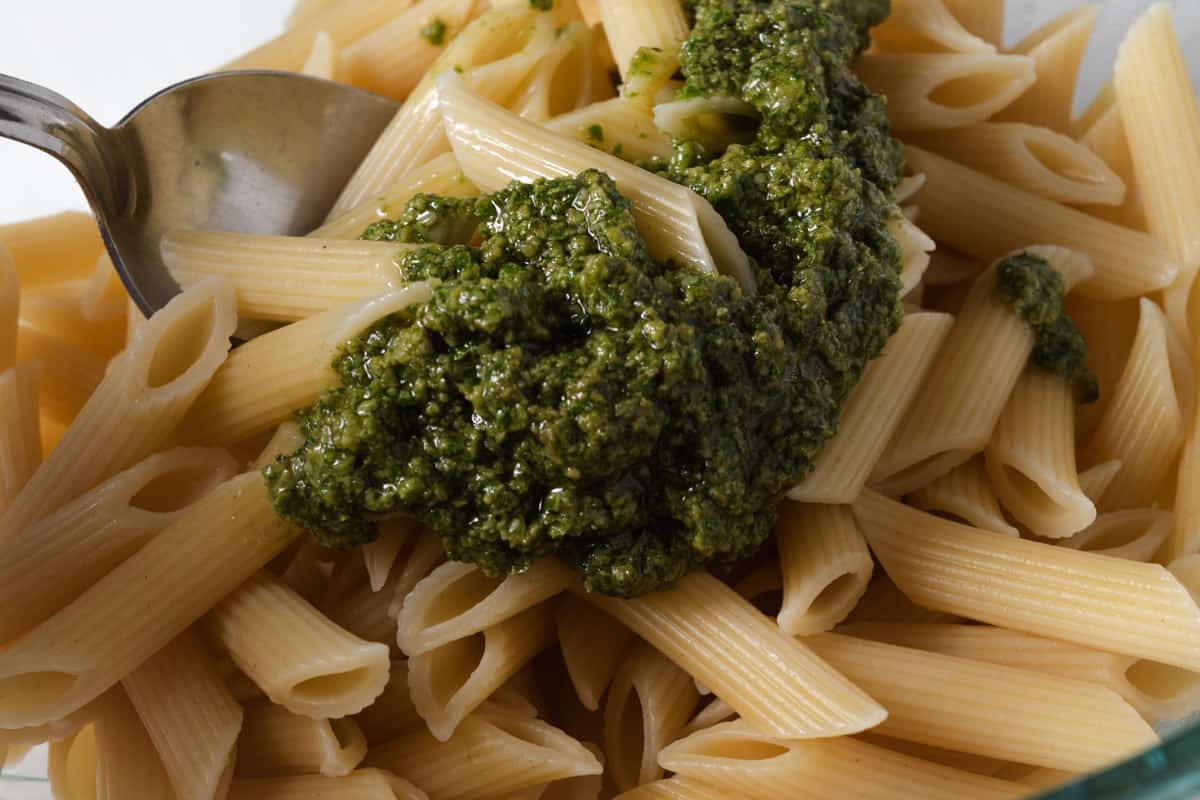 Easy 5 Minute Pesto + Freezing Basil Pesto - Mandi of the Mountains