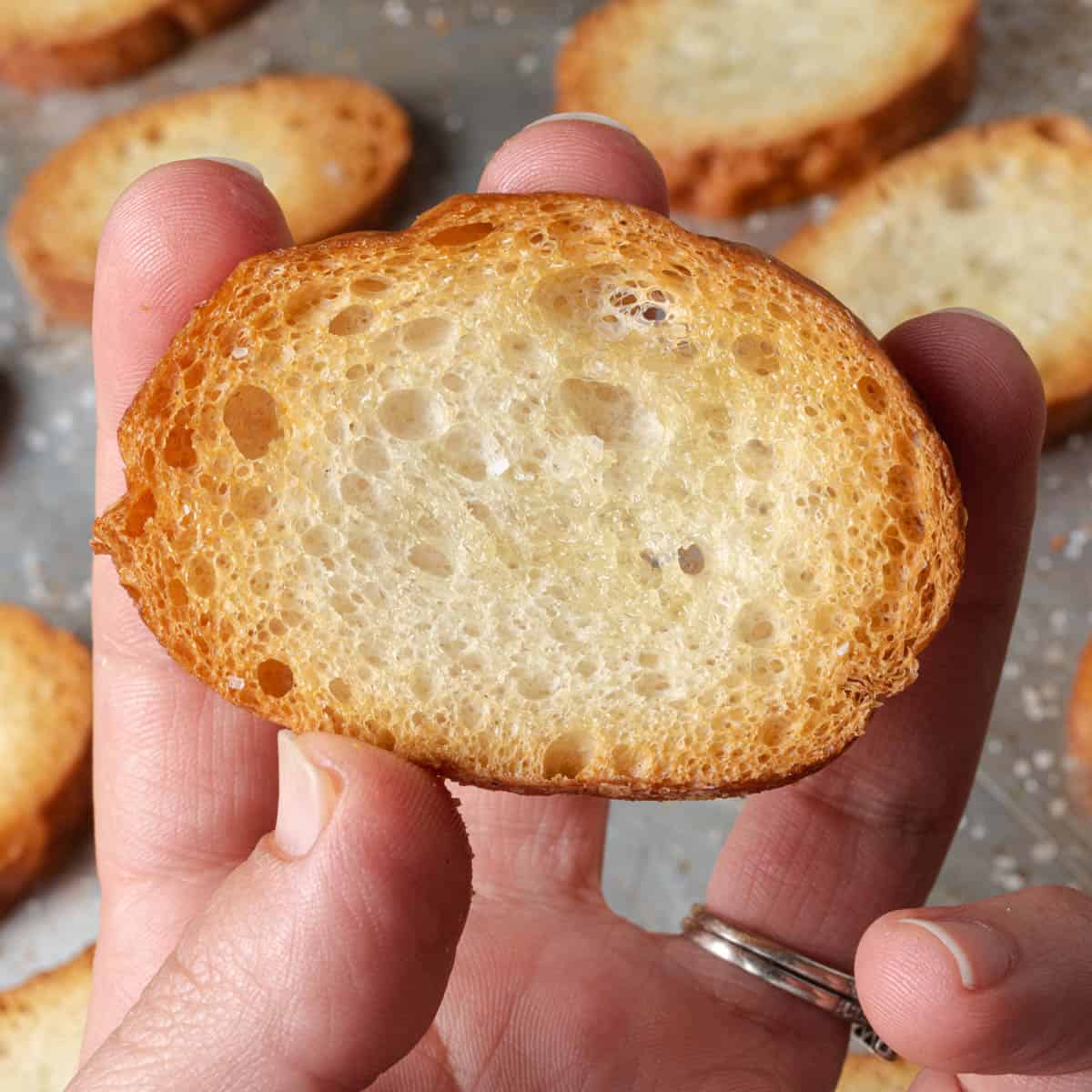 Avocado Crostini with Assorted Toppings - Mandi of the Mountains