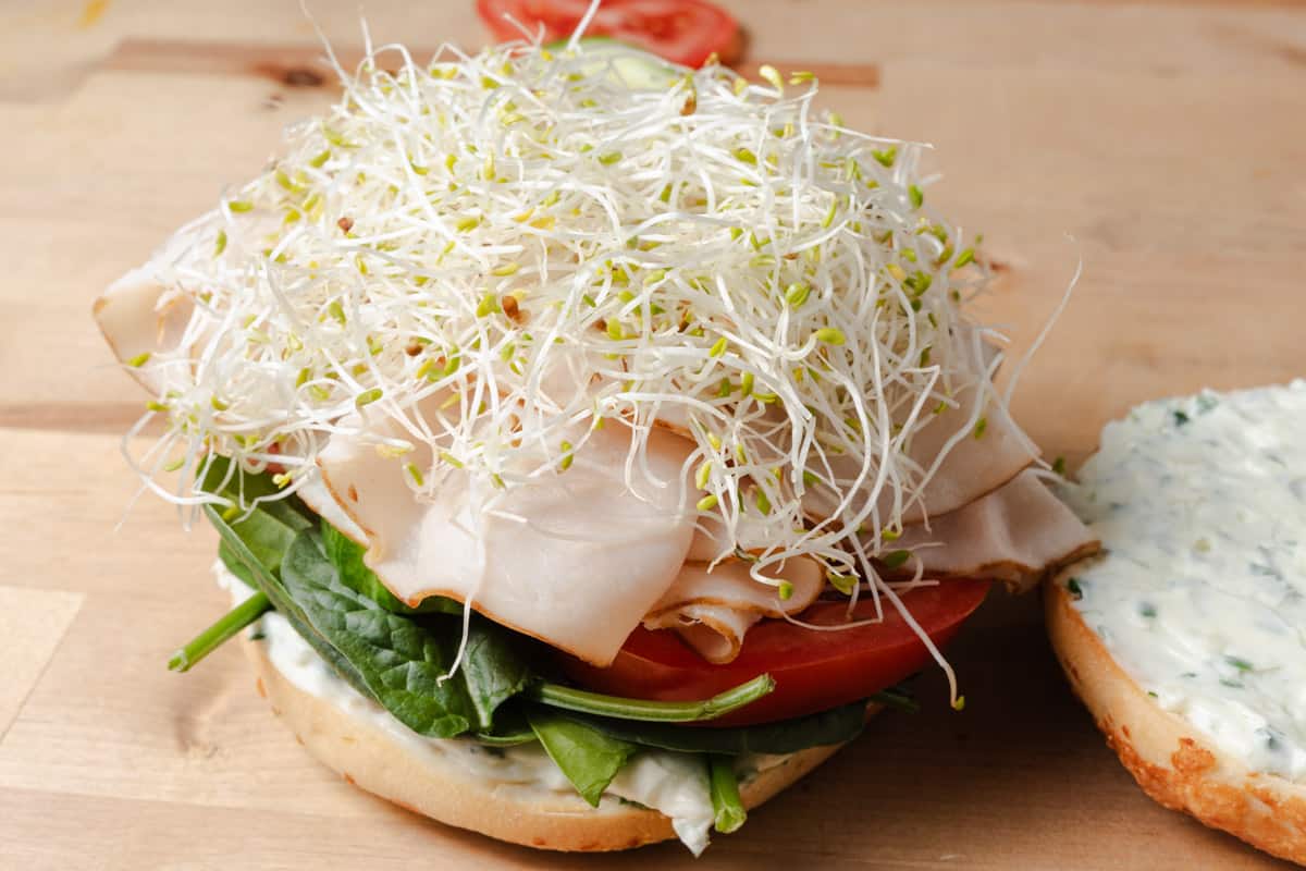 The Ultimate Turkey Bagel Sandwich - Mandi of the Mountains
