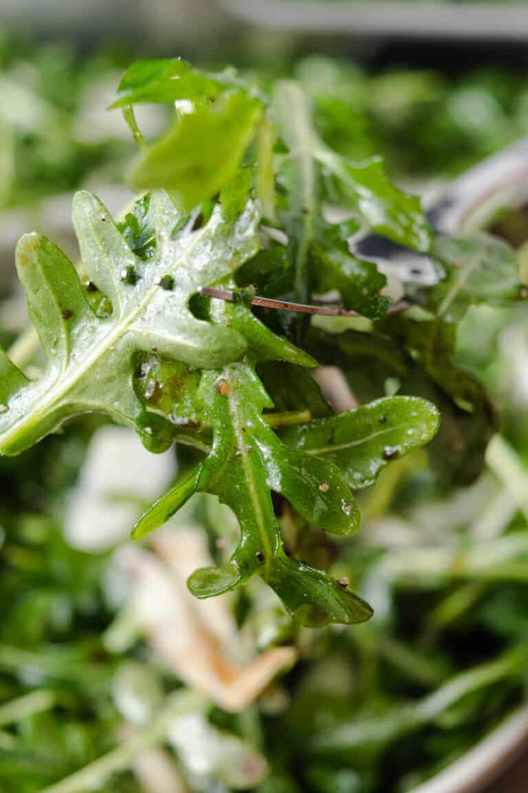 Arugula Salad with Parmesan, Lemon, and Olive Oil - Mandi of the Mountains