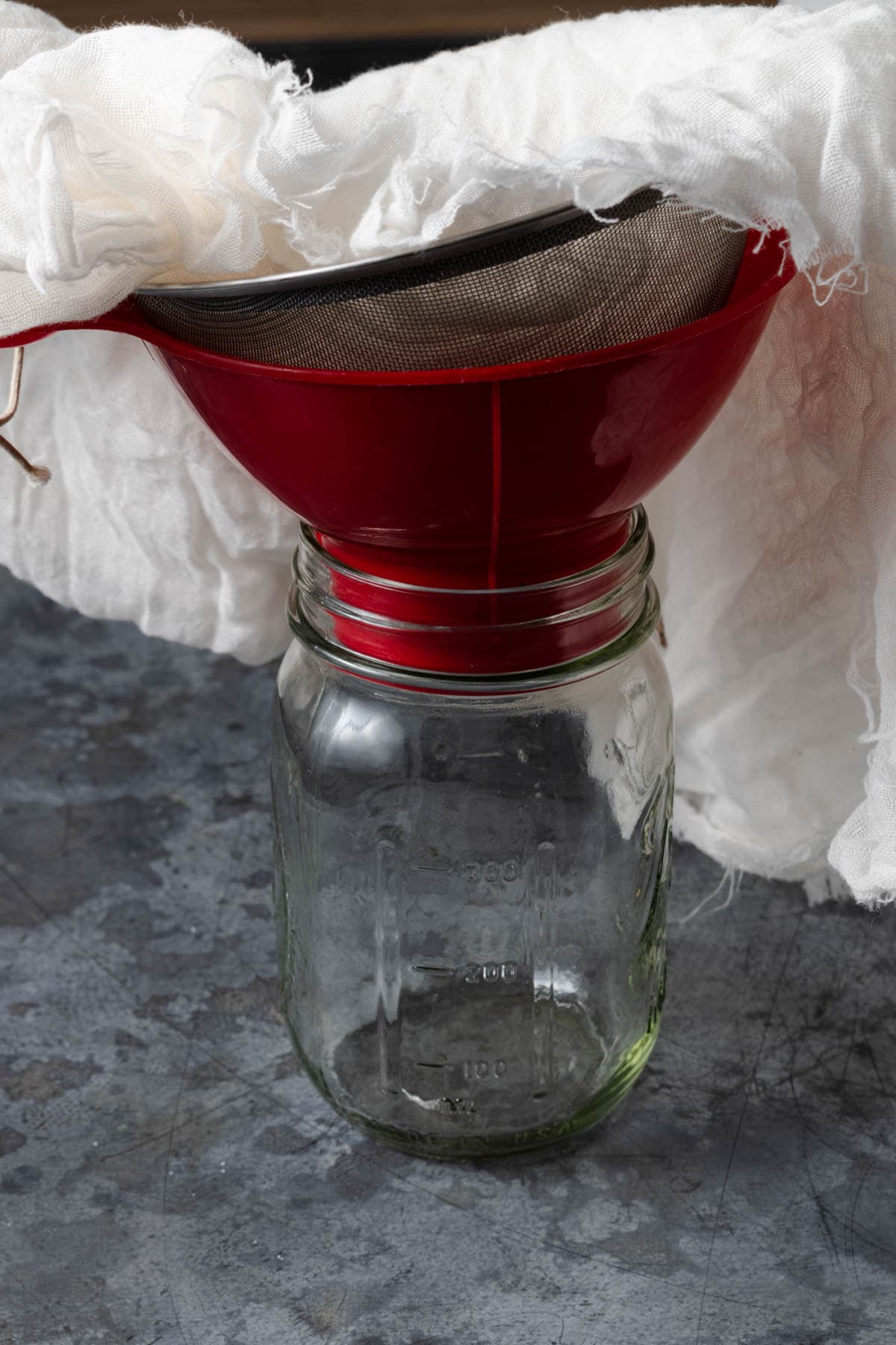 Strawberry Simple Syrup - Mandi of the Mountains