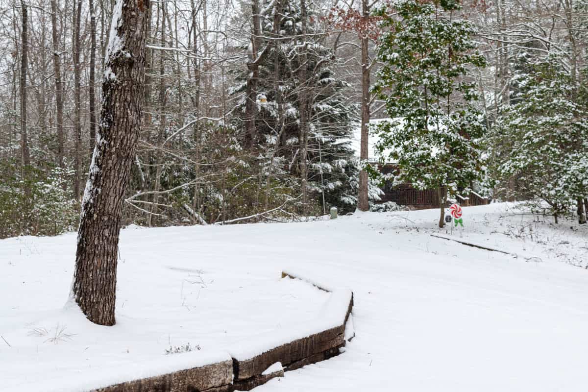 How to Make Snow Cream - Mandi of the Mountains